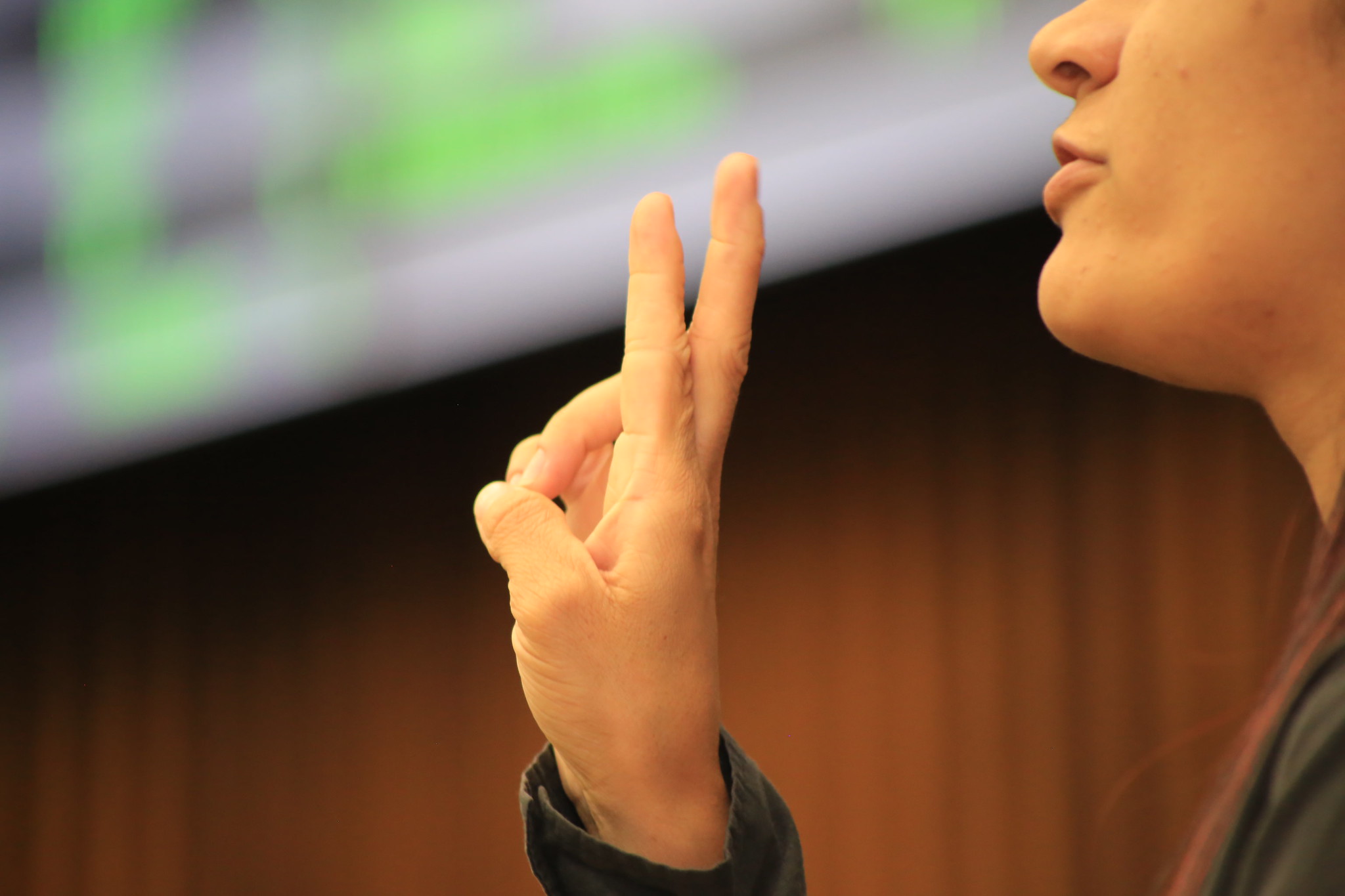 Intérpretes de Libras vão acompanhar o Plenário com tradução simultânea ...